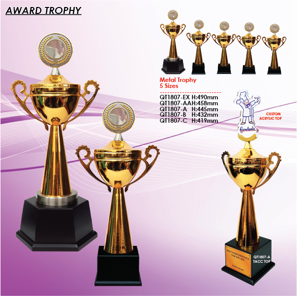 Award Trophy with Customized Top